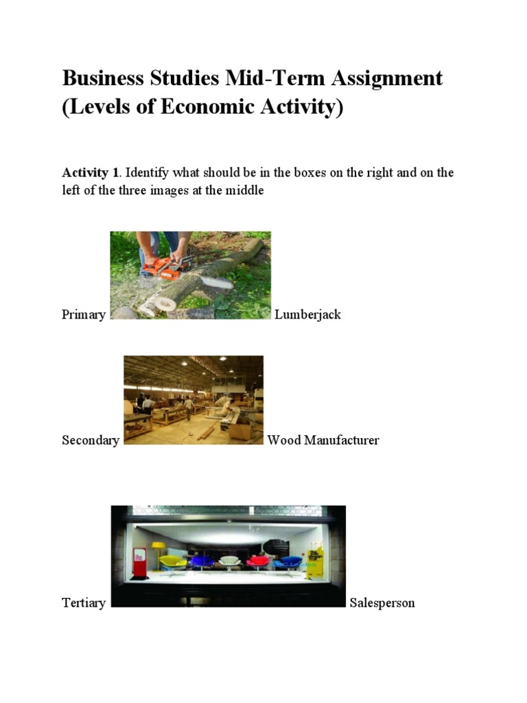 Analyzing Economic Activity and Concepts: A Mid-Term Business Studies ...