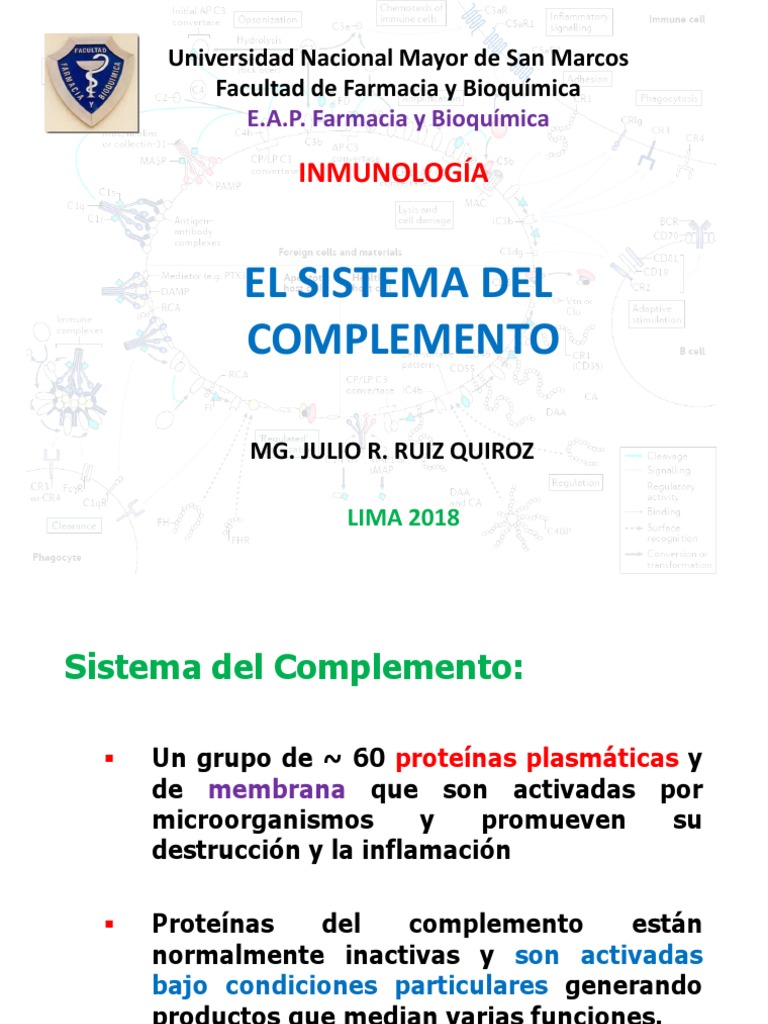 El Sistema Del Complemento: Inmunología | PDF | Complejo mayor de ...