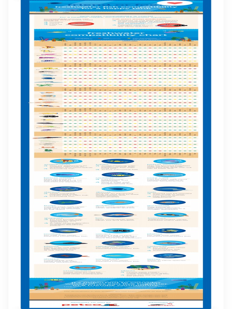 Friend or Foe Freshwater Fish Compatibility For A Happy Tank Visual ...