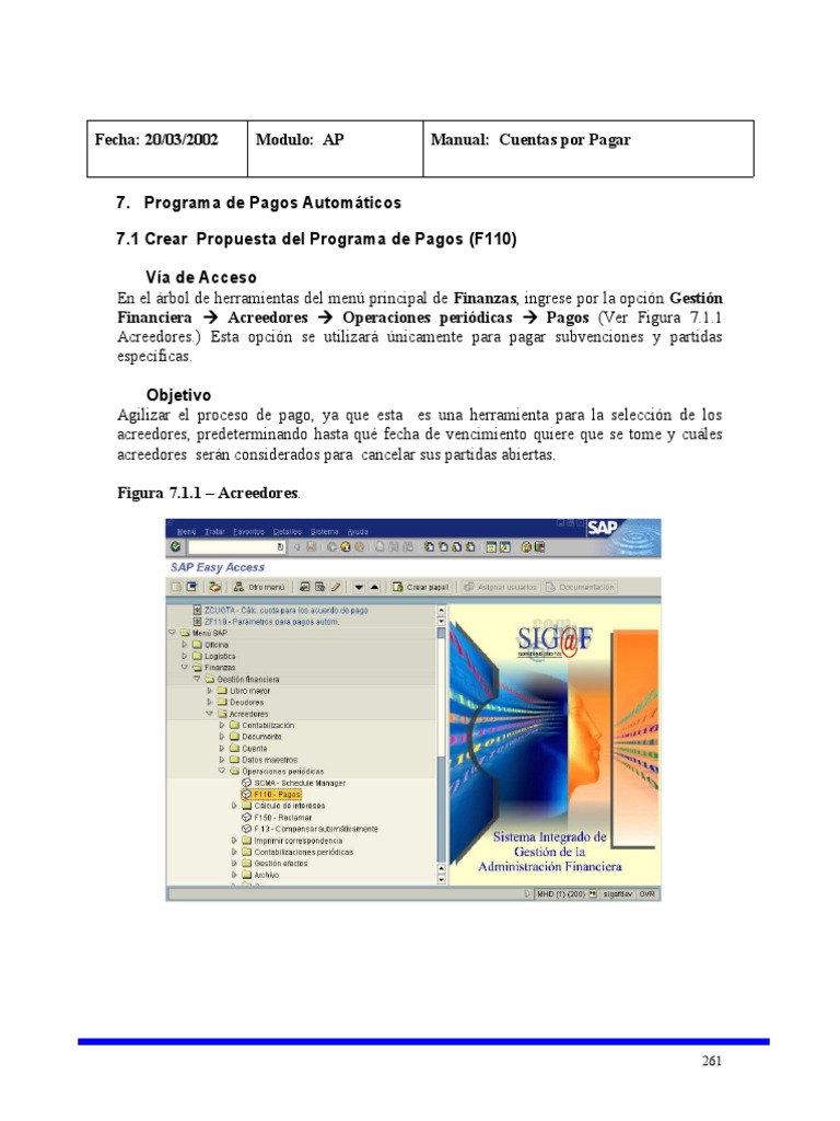 Manual de F110 | PDF | Servicios financieros | Economias