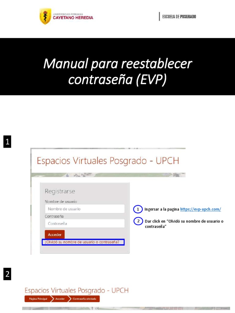 Manual para Reestablecer Contraseña (EVP) | PDF