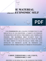 Understanding the Material Self | PDF