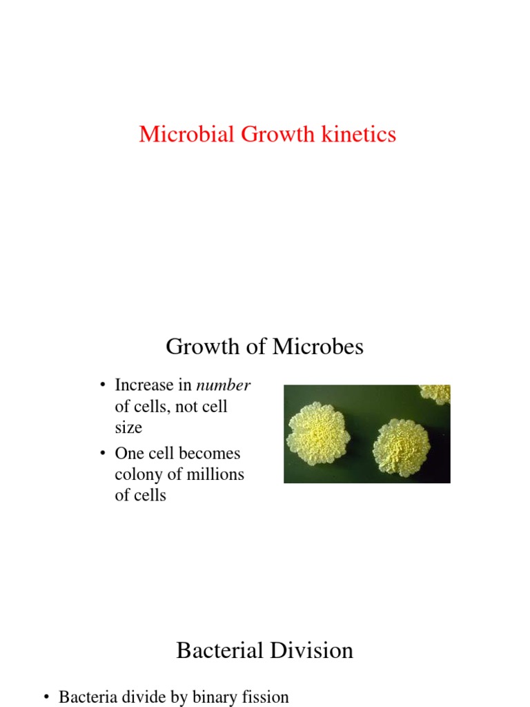 Microbial Growth Kinetics - Sent | PDF | Physical Sciences | Biology