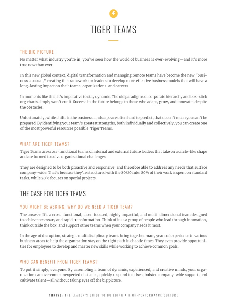 Accelerators - Chapter 5 - Tiger Teams | PDF | Leadership | Performance ...