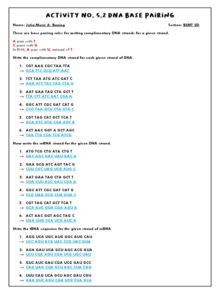 BANING Activity No. 5.2 DNA Base Pairing | PDF | Genetic Code | Amino Acid