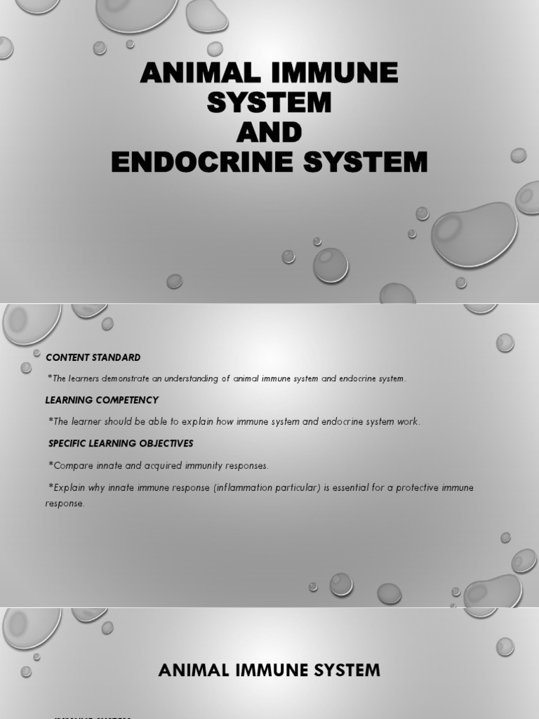 Week 006 Animal-Immune-System | PDF | Immune System | Pituitary Gland