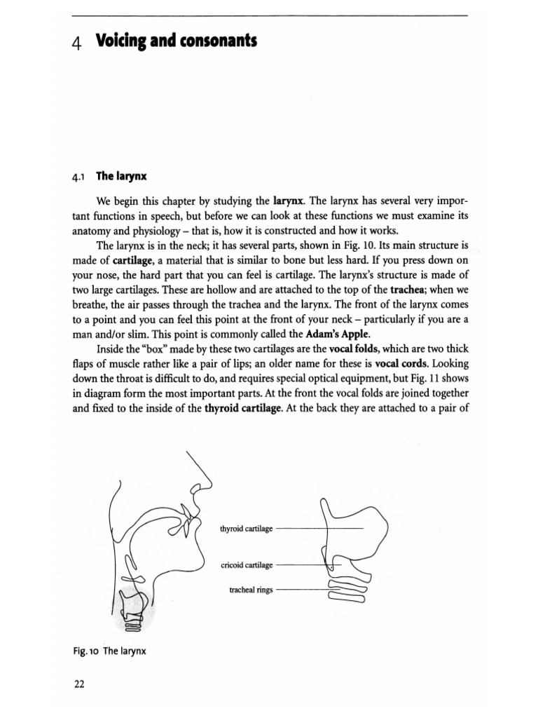 Peter Roach2009 - Chapter 4 | PDF | Larynx | Phonetics