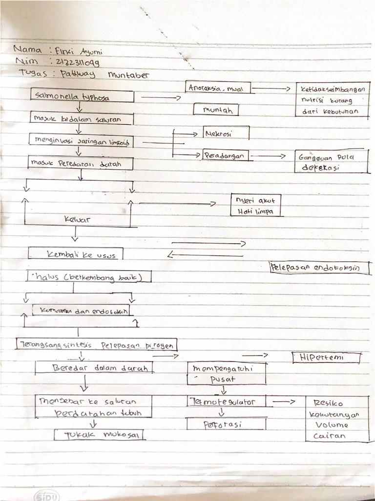 Pathways Penyakit Bentuk Bagan (14 Mar 2022 15 | PDF
