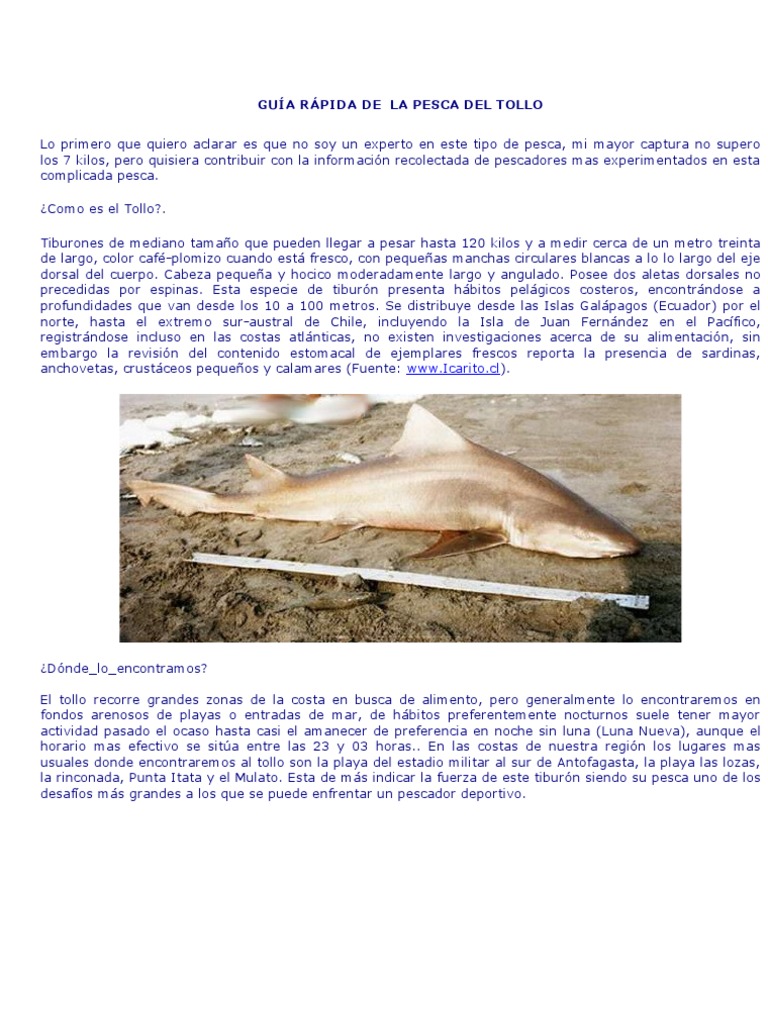 Ac Fish 06 Pesca Del Tollo | PDF | Tiburones | Carne