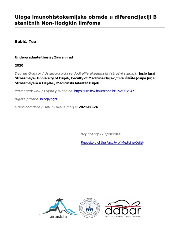 Tea Babic Zavrsni Rad | PDF