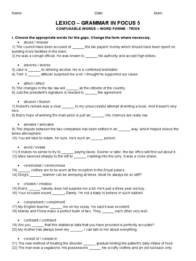 Lexico-Grammar in Focus 5 | PDF