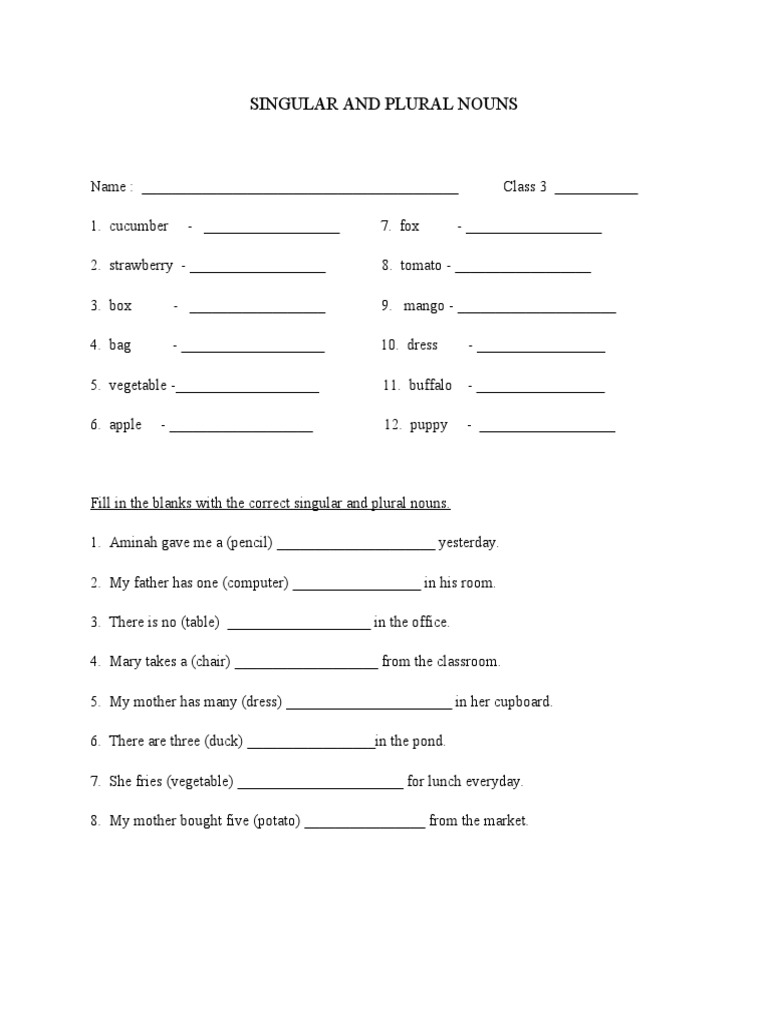 singular and plural(worksheet) | PDF