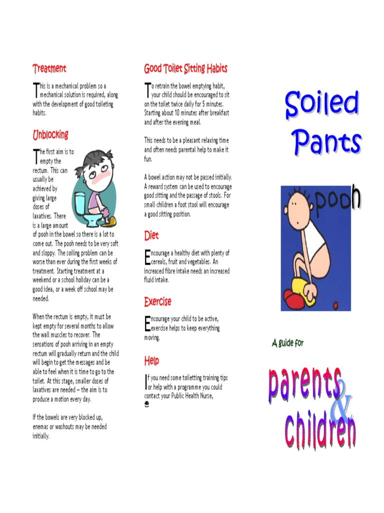 Soiled Pants Pamphlet 2 | PDF | Rectum | Large Intestine