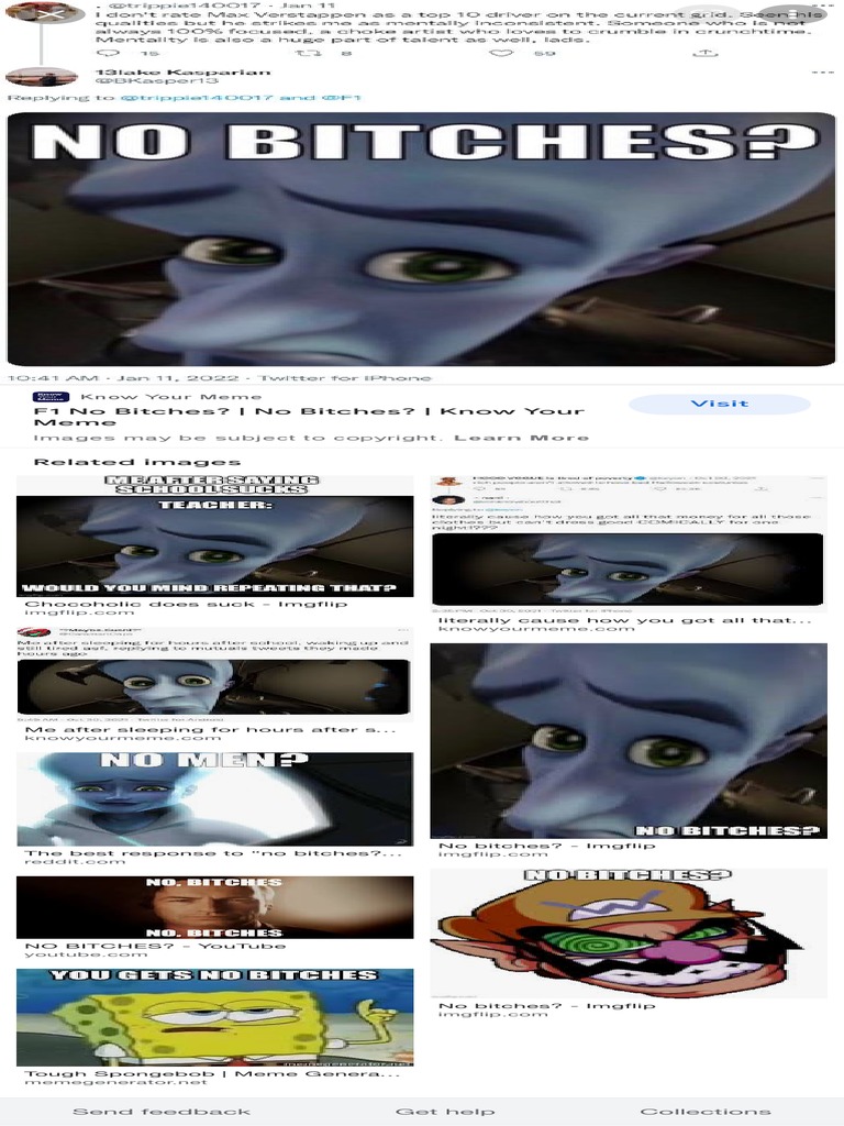 No Bitches Meme - Google Search | PDF