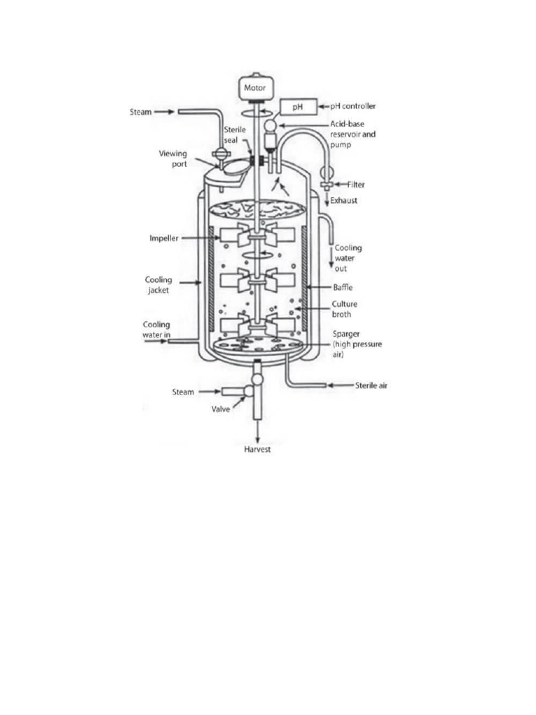 Presentation On Bioreactors | PDF | Chemistry | Chemical Engineering
