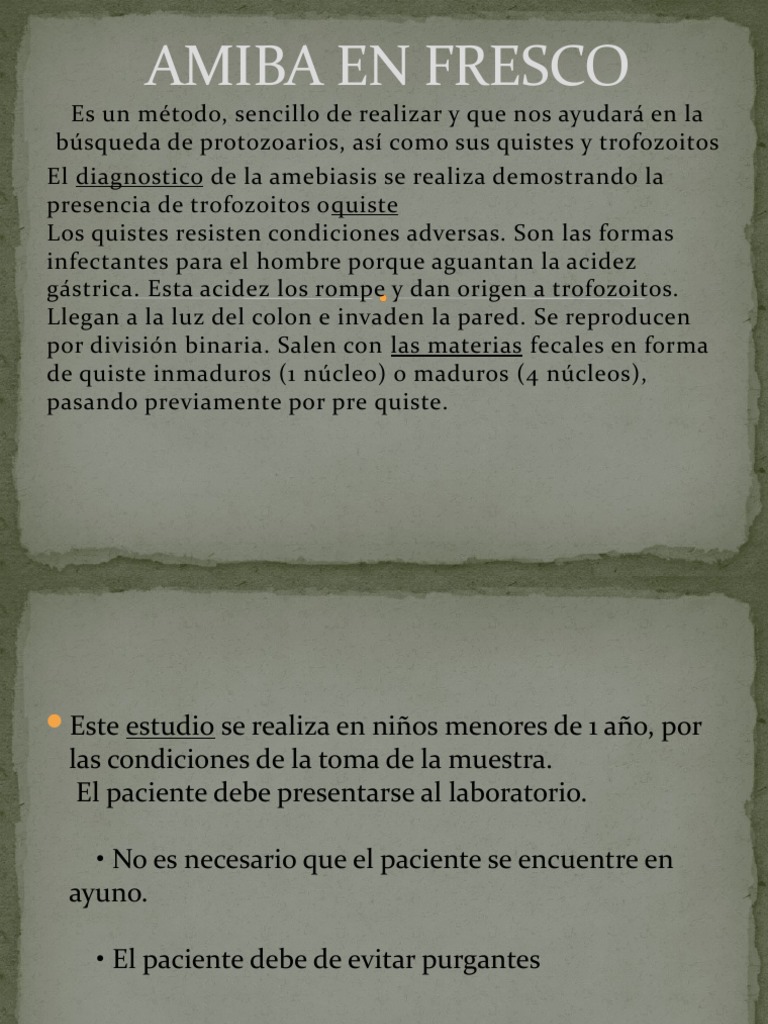 Amiba en Fresco | PDF | Heces | Tinción