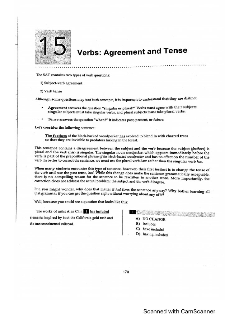 Subject-Verb Agreement Lesson 1 (Pages 1-11) | PDF