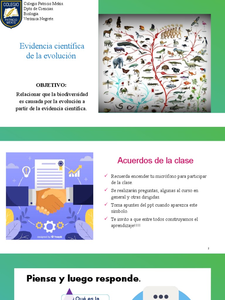 Evidencia Científica de La Evolución | PDF | Evolución | Fósil