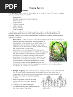 Method of Layout Orchard | PDF | Plants | Trees