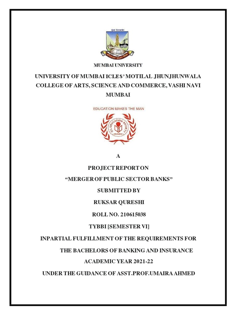 Black Book Project | PDF | Mergers And Acquisitions | Banks