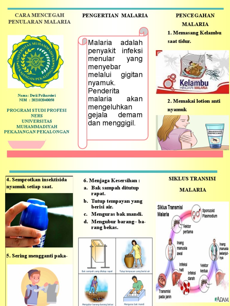 Leaflet Malaria PDF | PDF