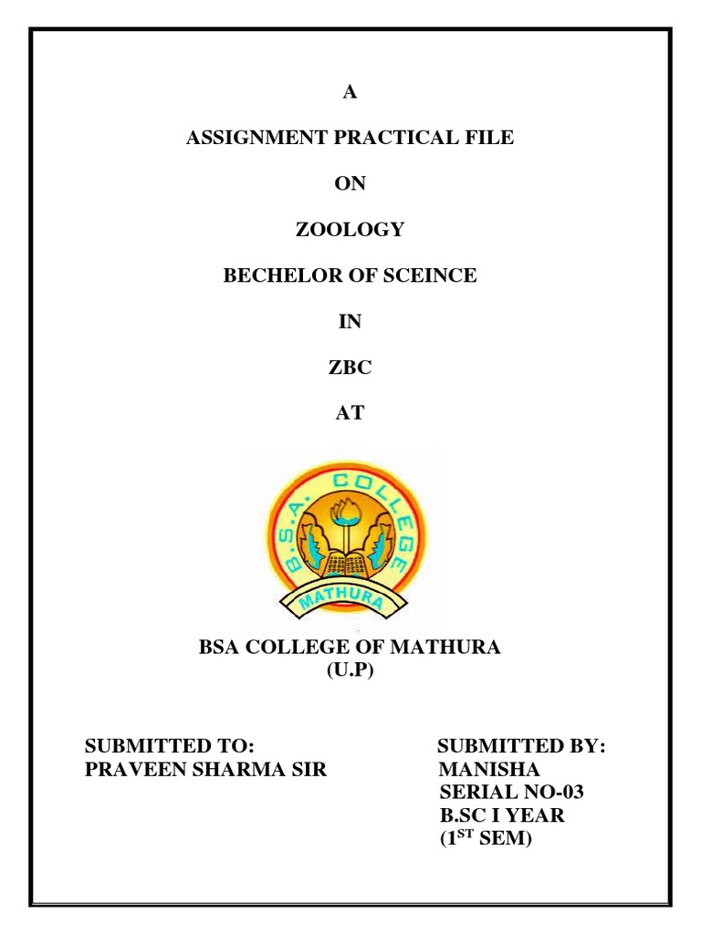 B.Sc 1st Year Zoology Practical File | PDF