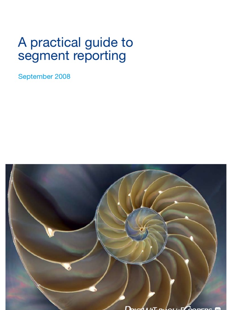 PWC Practical Guide To Segment Reporting | PDF | International ...