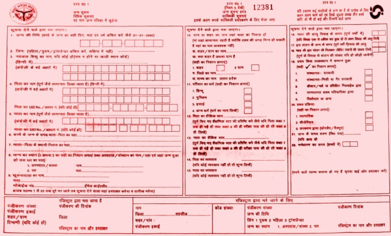 Birth Certficate Application Form | PDF