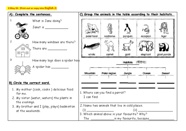 3 May Complete Sentences Habitat Comprehension | PDF