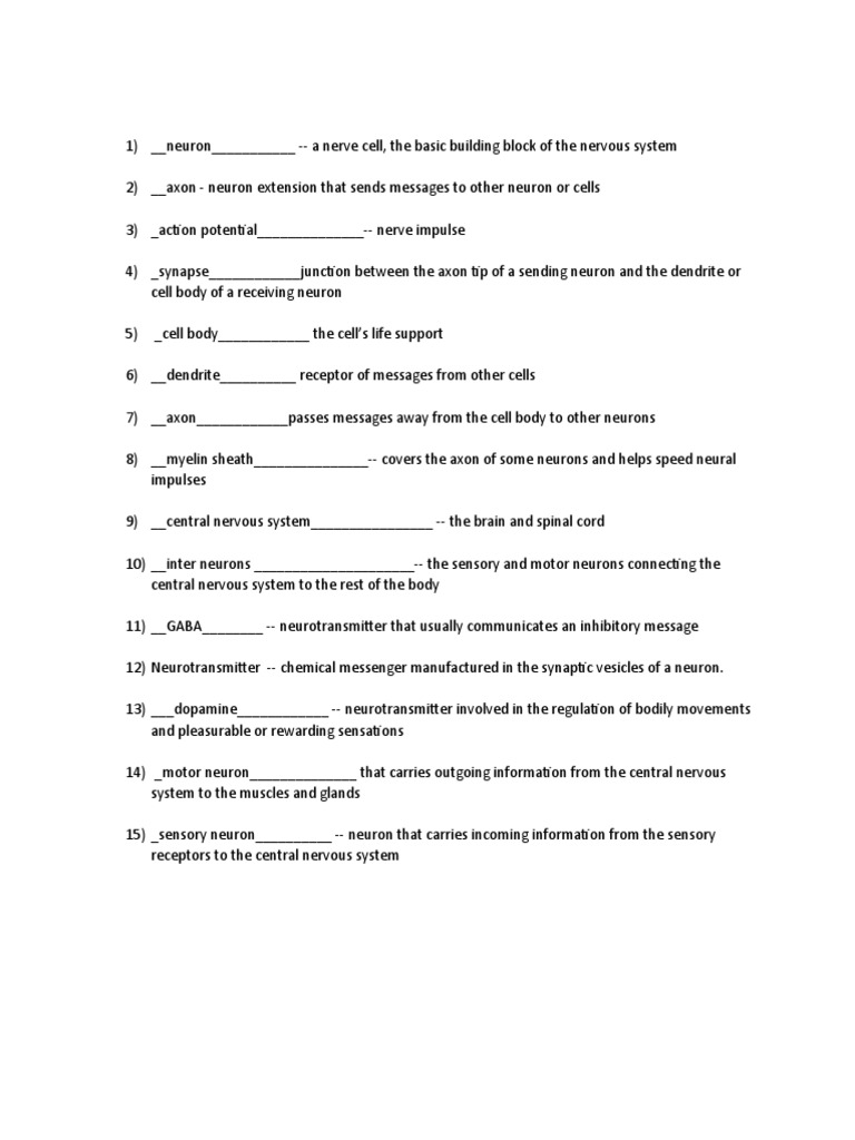 Neurosceince Fill in The Blank | PDF | Neuron | Nervous System
