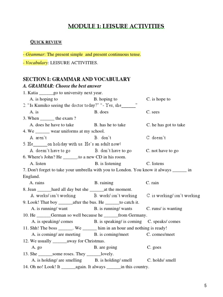 Module 1: Leisure Activities: Section I: Grammar and Vocabulary | PDF ...