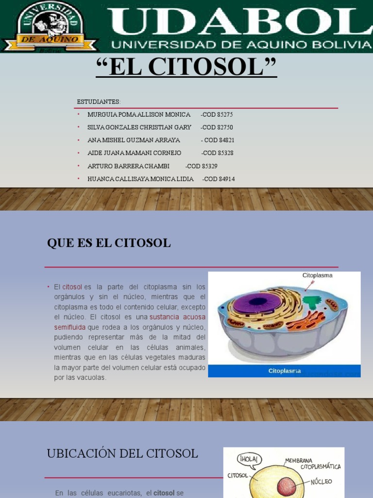 Citosol Diapositiva de Biologia.. | PDF | Citoplasma | Citosol