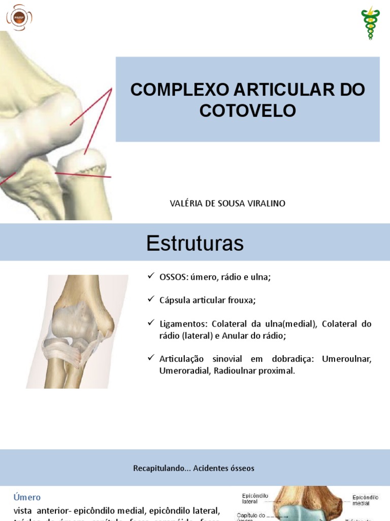 Complexo Articular Do Cotovelo | PDF | Cotovelo | Anatomia