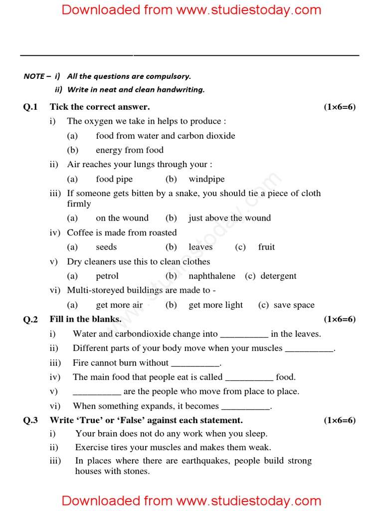 CBSE Class 4 EVS Assignment (3) | PDF