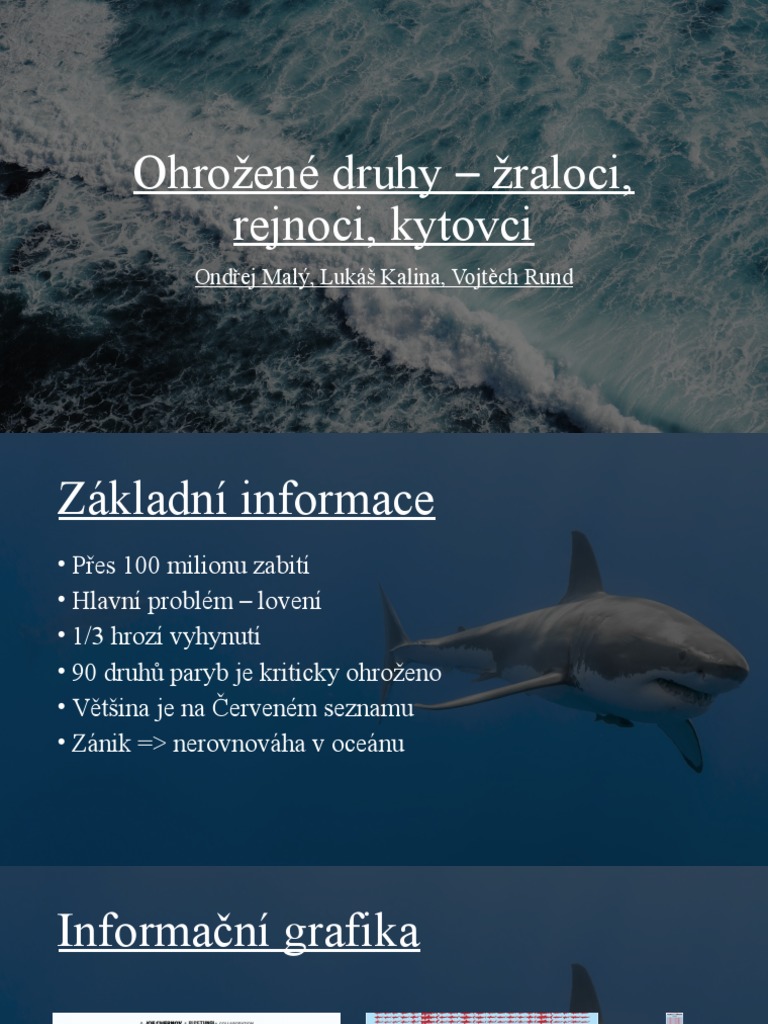 Ohrožené Druhy - Žraloci, Rejnoci, Kytovci | PDF
