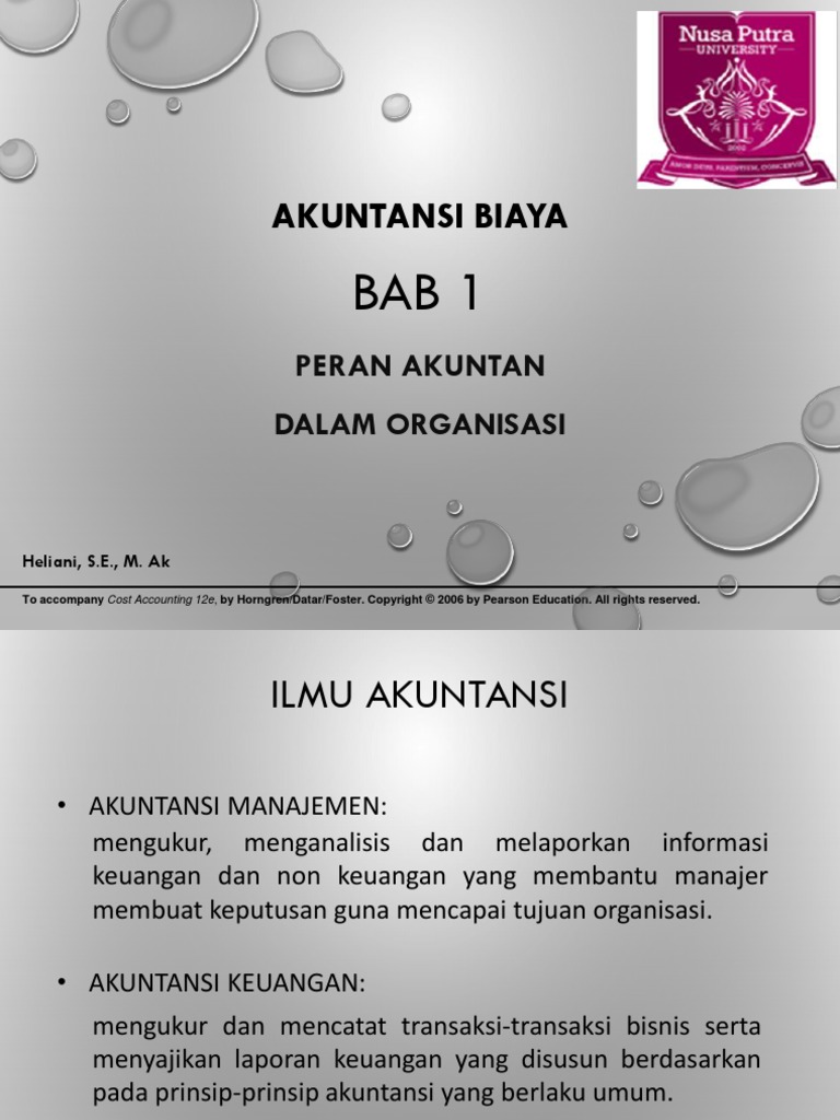 1 Peran Akuntan Dalam Organisasi (Power Point) | PDF | Pengelolaan Keuangan & Uang