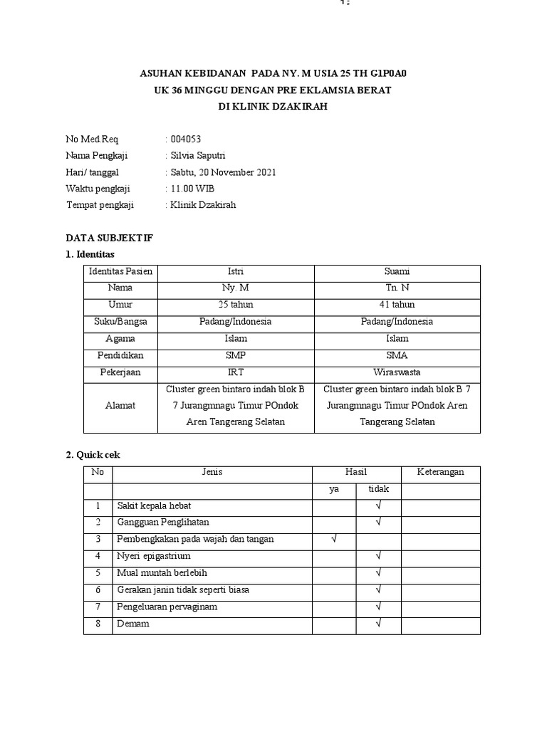 Contoh Askeb Bumil PEB | PDF