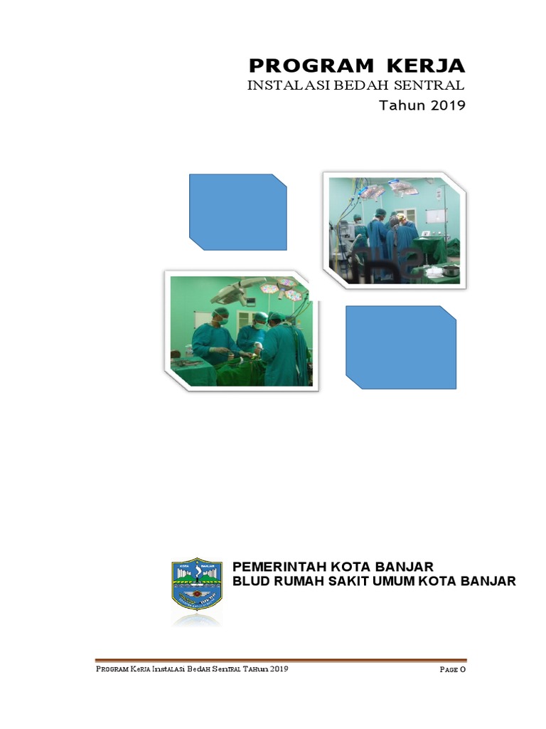 Program Kerja Ibs 2019 Copy PDF Free | PDF