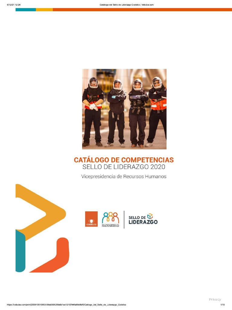 Catálogo Del Sello de Liderazgo Codelco - Vebuka | PDF