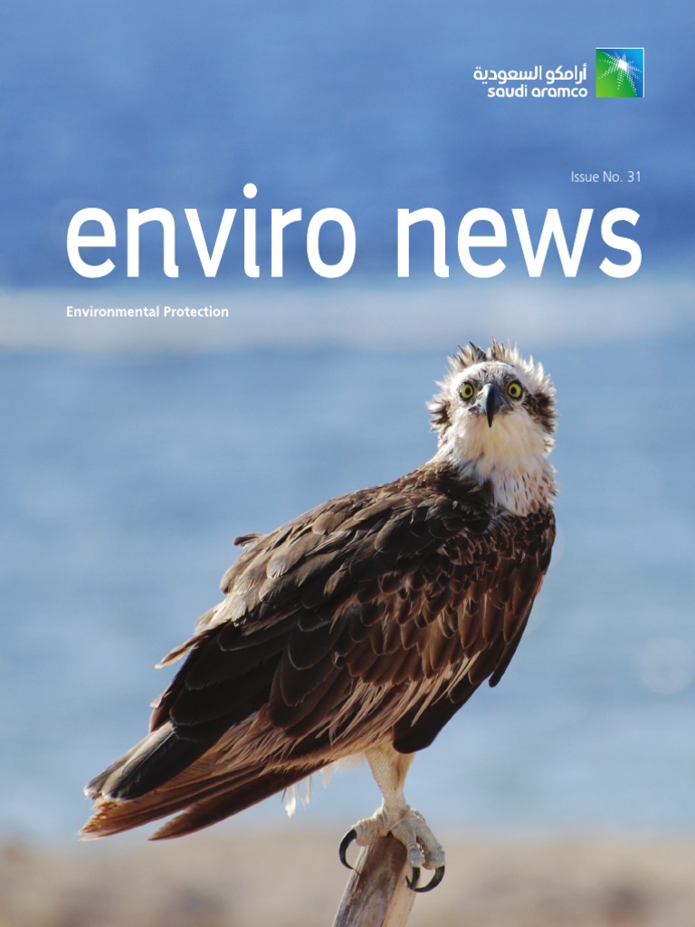 Enviro - News ARAMCO | Download Free PDF | Carbon Dioxide | Greenhouse Gas
