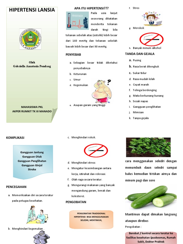 Leaflet Hipertensi Lansia | PDF