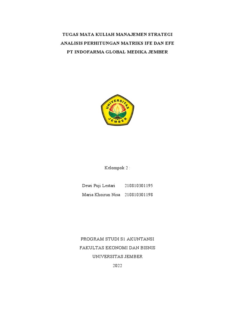 Matriks IFE Dan EFE - Kelompok 2 | PDF