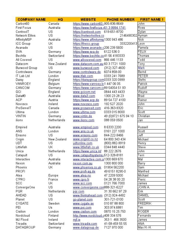 MSP Master List | PDF | Chief Financial Officer | Chief Operating Officer