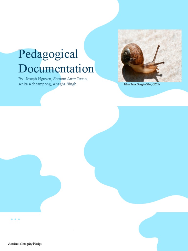 Pegagogical Documentation - Ece 242 Reflective Professional | PDF ...