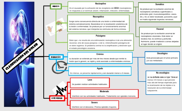 Mapa Conceptual Dolor | PDF | Dolor | Fisiología
