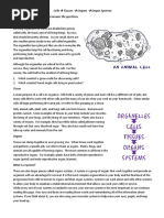 Cells Cheat Sheet | PDF | Cell (Biology) | Endoplasmic Reticulum