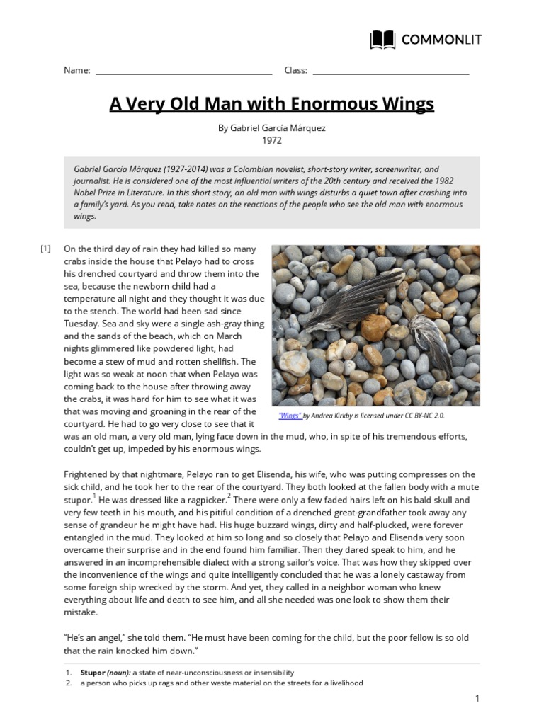 A Very Old Man With Enormous Wings | PDF