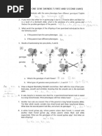 Handout 4-21 - Pigeonetics - Lab | PDF | Phenotypic Trait | Dominance ...