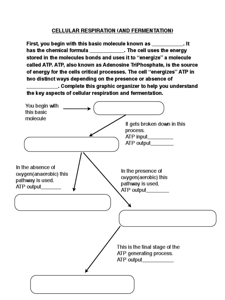 ATP Concept Map PDF | PDF