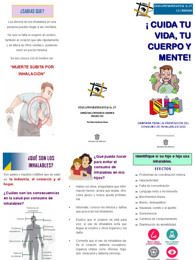 Triptico Inhalables | PDF | Cerebro | Corazón